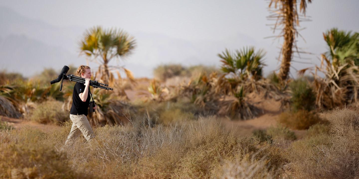 ZEISS Conquest Gavia | Para una visibilidad clara desde cualquier lugar ...